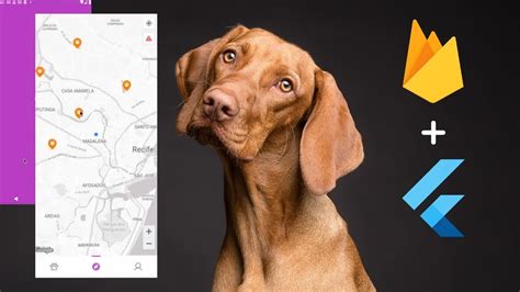 App Fullstack Flutter Firebase Youtube