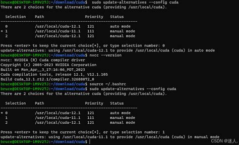 Wsl2下实现多cuda版本管理wsl2安装多个cuda Csdn博客