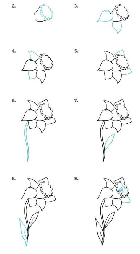 How To Draw A Daffodil Step By Step Drawing Diy Tutorial White Background Flower Drawing