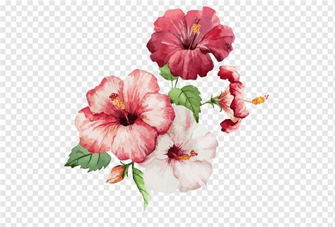 수채화 그림 종이 그림 그림 연간 공장 꽃 그림 Png Pngwing