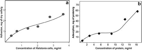 Adsorption Of A Bacteria Ralstonia Eutropha And B Nitrilase From
