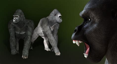 Character Creator Content Pack Gorillas Starter Pack Humanoid Base