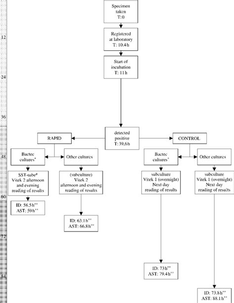 Flow Chart Showing The Turn Around Time In The Study Laboratory Flow