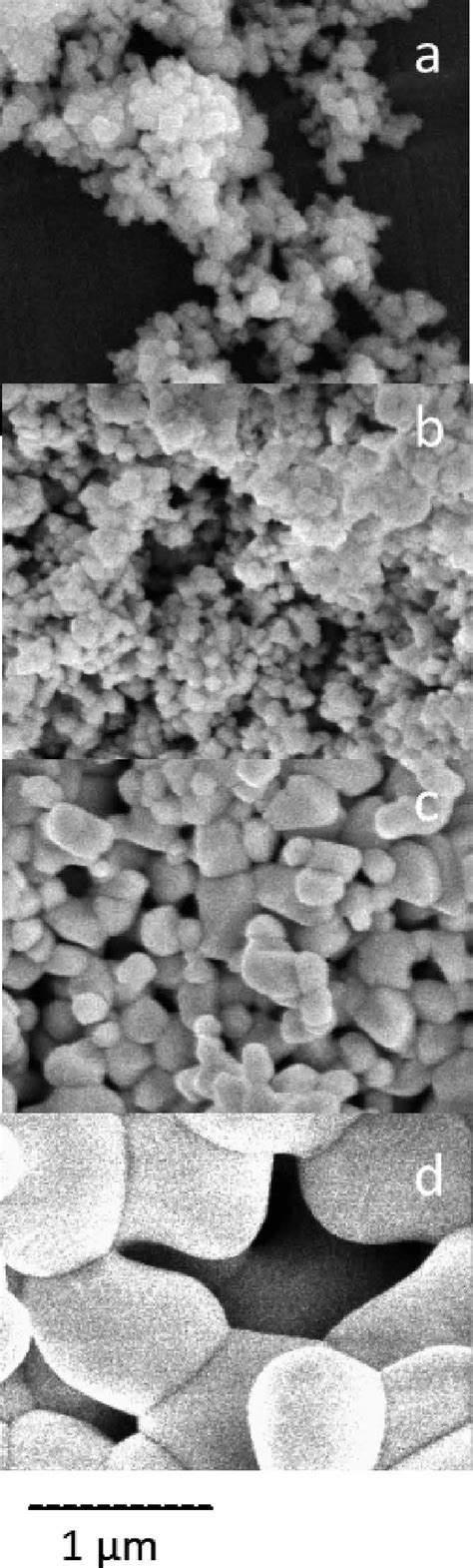 Shows The Sintering Curves Relative Density Versus Temperature For