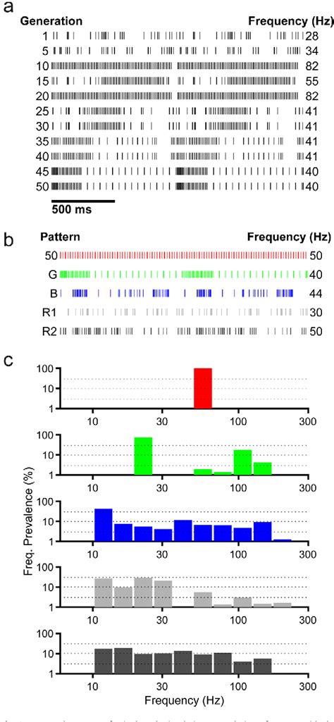 Figure 1 From Evaluating Optimized Temporal Patterns Of Spinal Cord Stimulation Scs Semantic