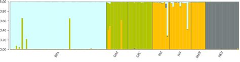 bayesian ancestry proportions q y axis for all plants x axis from