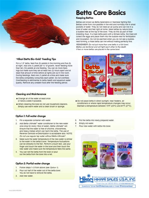 Betta Care Sheet Pdf