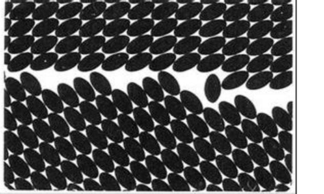 Model Of A Contact Interface Phase Transition Proceeds By Download Scientific Diagram