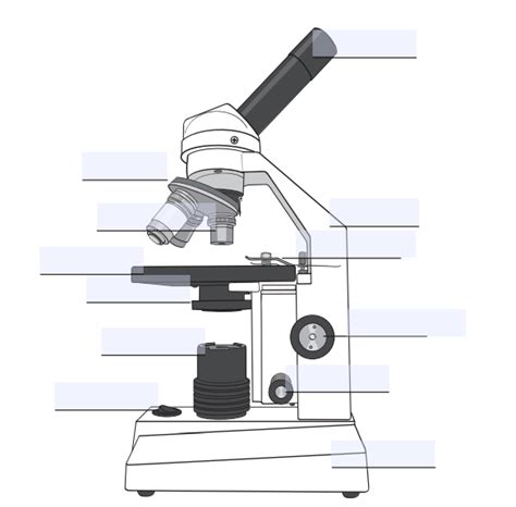Foss Microscope Diagram Quizlet