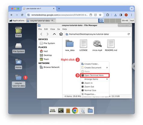 2 Importing Data Sleap Tutorial