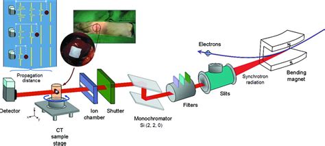 Iucr Potential Of Propagation Based Synchrotron X Ray Phase Contrast