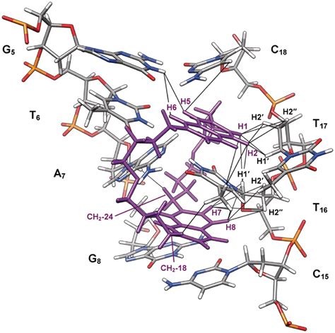 Structure Of The Complex Of 27 Bisnp Purple With Tt Dna Cpk Colors Download Scientific