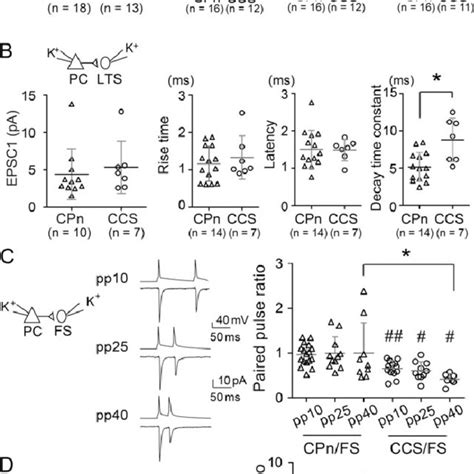 Properties Of Excitatory Synaptic Inputs From The 2 Pc Subtypes Onto Fs Download Scientific