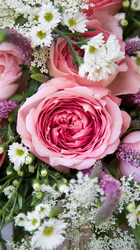 Rose Phone Wallpapers Top Free Rose Phone Backgrounds Wallpaperaccess