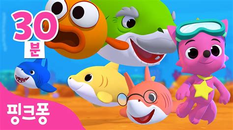 바닷속 상어가족 모여라 🦈 모음집 아기상어 뚜루루뚜루 아기상어 체조 아기 상어와 친척들 상어 가족의 하루 ㅣ핑크퐁 인기동요 Youtube