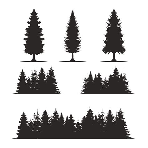 Evergreen Tree Outline
