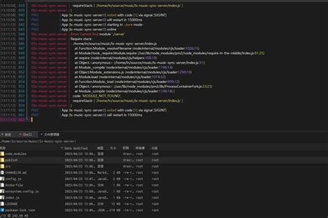 一路按照教程出现 Pm Log提示 Error Cannot Find Module Server · Issue 22 · Lyswhutlx Music Sync