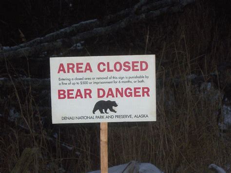 List Of Fatal Bear Attacks In North America Wikipedia