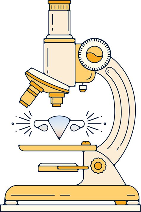 What Is Squirting Daye