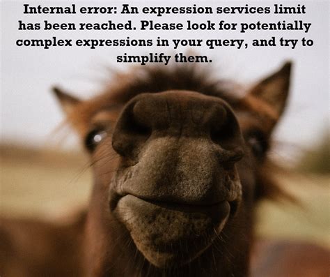 Sql Server Fix Error 8632 Internal Error An Expression Services