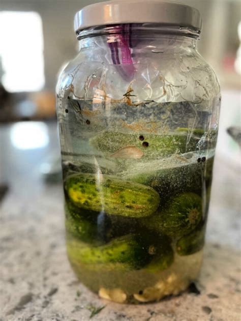 Fermented Pickles Growing Up Gabel