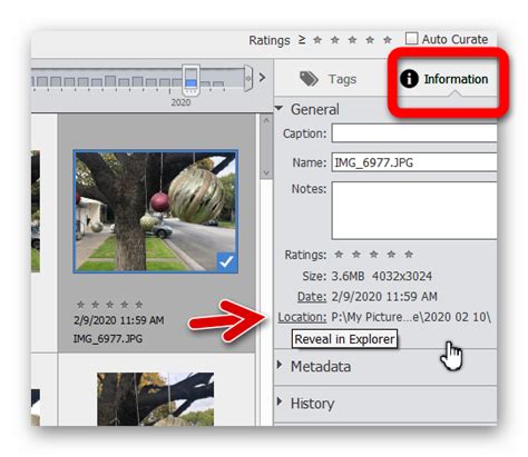 Solved Importing Into Adobe Elements Organizer 2020 From Adobe
