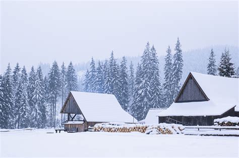 눈 덮인 계곡 백그라운드에서 산 안개 속에서 눈 덮인 소나무 숲에 두 나무 하우스 스탠드 0명에 대한 스톡 사진 및 기타 이미지 0명 가리기 감정 Istock