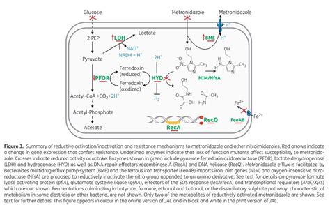 Metronidazole Resistance