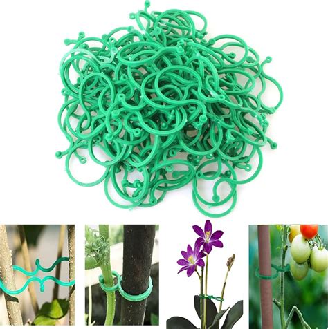 100 Clips De Support Pour Plantes Attache Plante Grimpante Attache