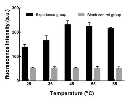hybridization temperature affects hybridization efficiency dna was