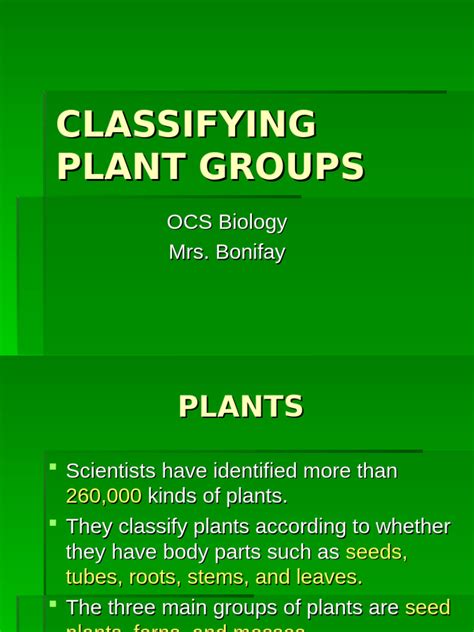 Classifying Plant Groups Pdf