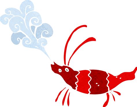 Cartoon Shrimp Drawing 47000322 Png