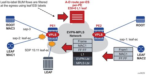 5 Ethernet Virtual Private Networks EVPNs