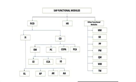 Provide Sap Mm And Qm Services By Alikazmi317 Fiverr