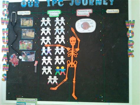 Our Incomplete Ipc Display Board Humans Body Unit Class Displays Human Body Unit Display Board