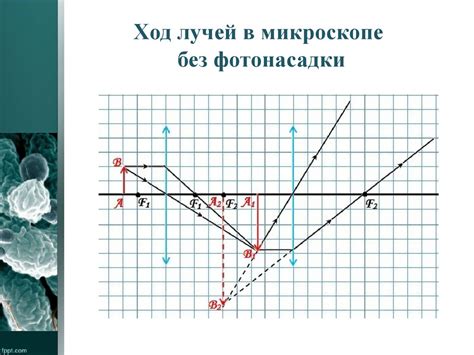 Измерение размеров малых объектов с помощью микроскопа - презентация онлайн