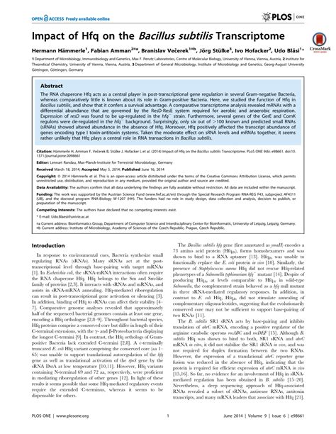 Pdf Impact Of Hfq On The Bacillus Subtilis Transcriptome