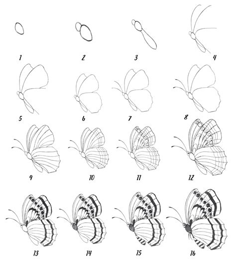 How To Draw A Butterfly Tattoo Step By Step Drawing G Vrogue Co
