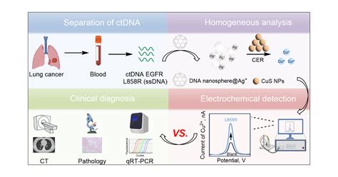 Ag Mediated Dna Nanomachine Cascade Nanomaterial Amplification Enable