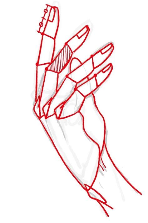 How To Draw Realistic Hands Draw Hands Step By Step Drawing Guide By Catlucker Artofit