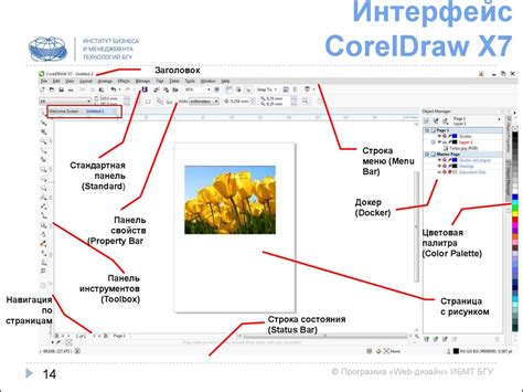 Coreldraw Powerpoint