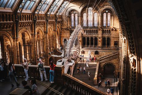 Your Guide To Londons Best Museums In 2025 Park Lane