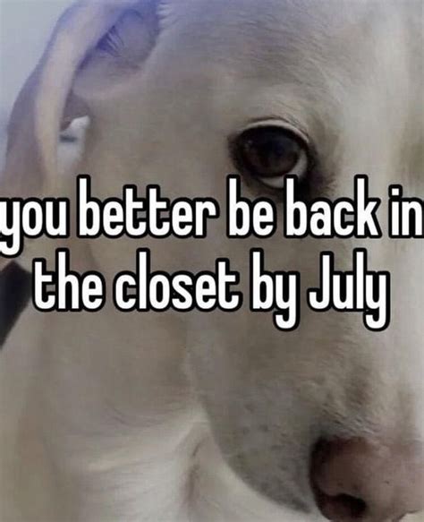 How It Feels To Hyperfixate On Something Thats On Hiatus Fandom