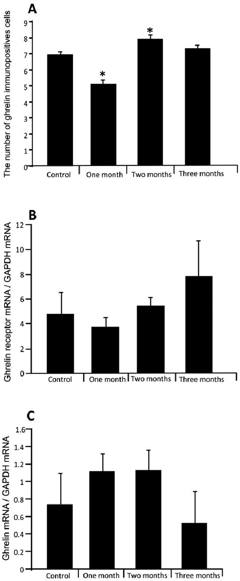 A The Number Of Ghrelin Immunopositive Cells B Ghrelin Receptor Download Scientific