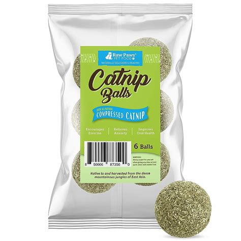 10 Best Catnip Balls