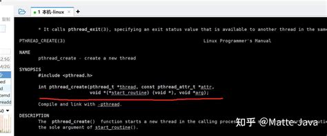 深入解析Linux系统中的Hook函数技术及其在安全与开发中的应用 Linux命令大全 手册