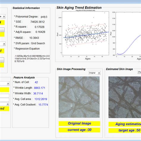 Examples Of Skin Dataset A Source Image B Warping Regions