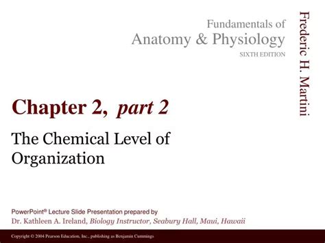 The Chemical Level Of Organization Introduction To The Chemical Level Of Organization