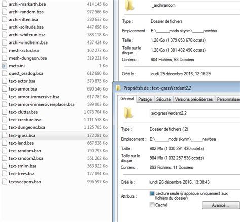 To BSA Or Not To BSA Skyrim Special Edition LoversLab