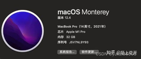Python ollama的搭建与使用流程分析 知乎